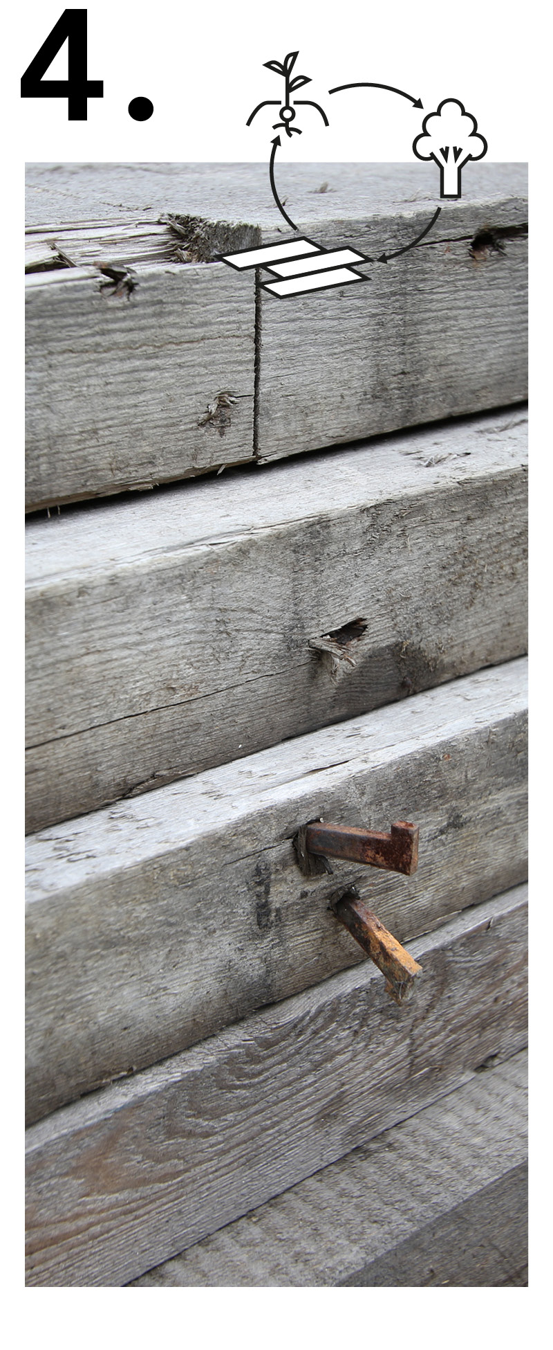 Top 5 Reasons Why Wood Is Good - Ted Todd Fine Wood Floors