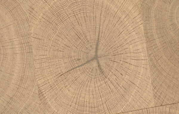 Aquila Engineered Wood Flooring | Woodworks By Ted Todd